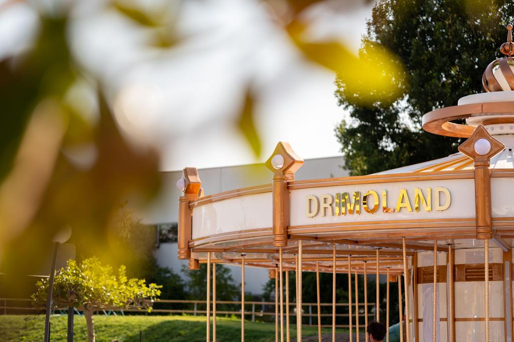 Taramul Fermecat | Drimoland